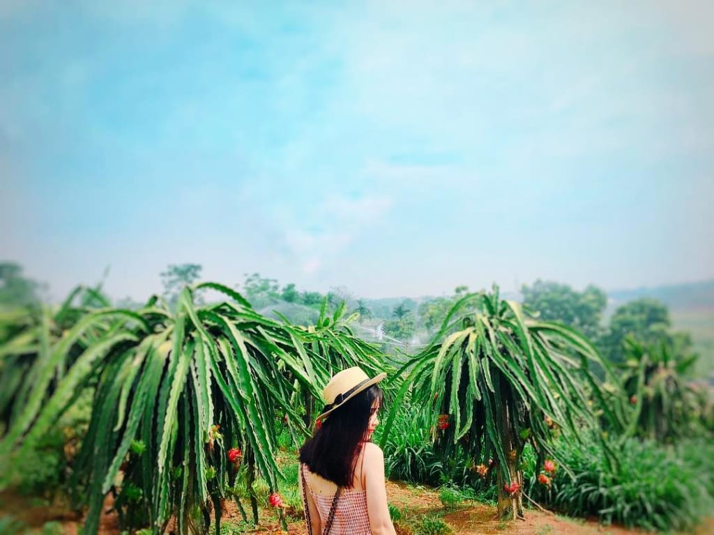 Vương Quốc Thanh Long Phan Thiết | Tour Phan Thiết Mũi Né