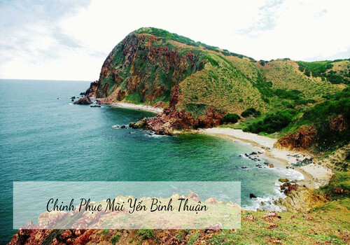 Mũi Yến Bình Thuận, điểm Cắm Trại Lý Tưởng Cho Hội Camping